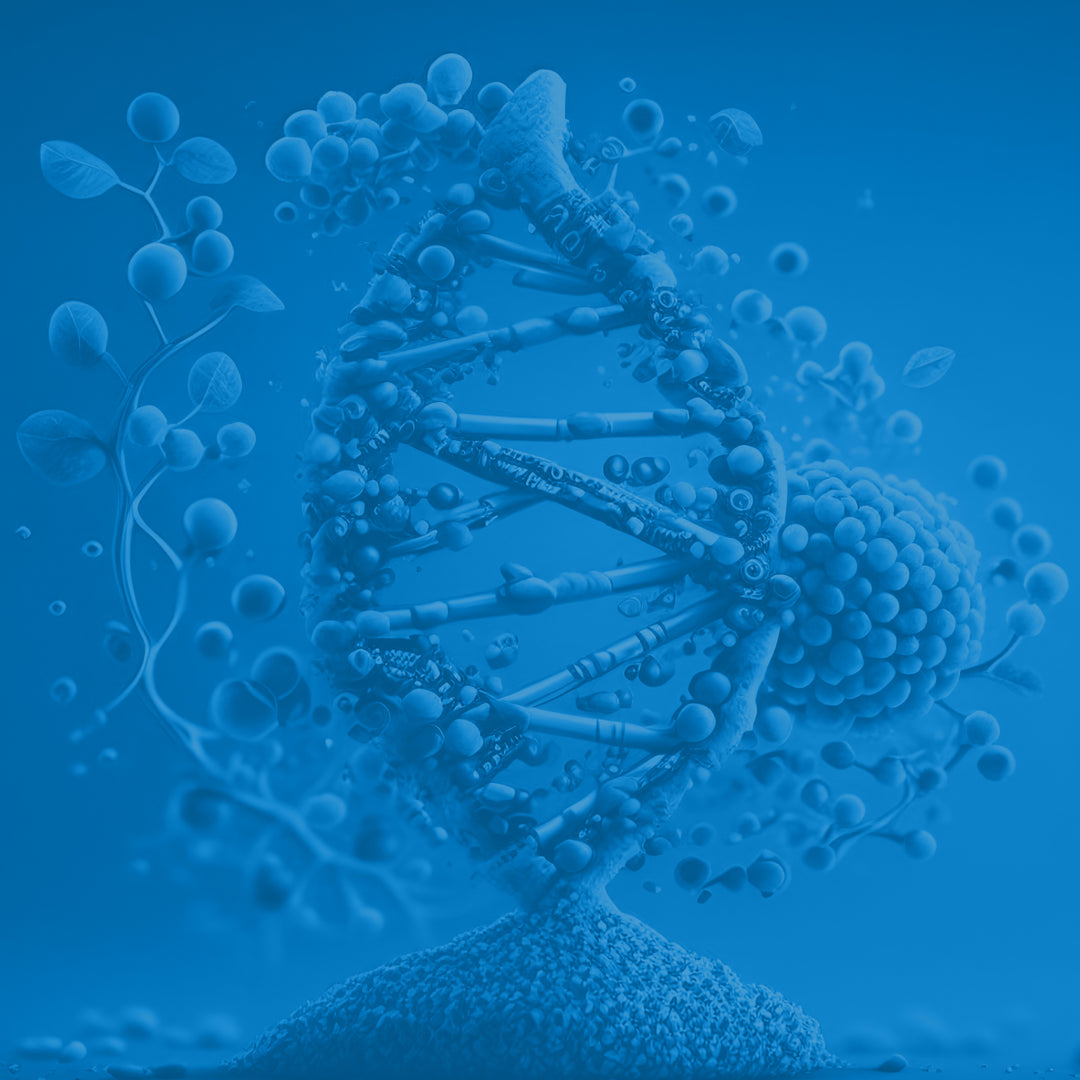 Epigenetic Modifications and the Cell's Fate – Troscriptions®