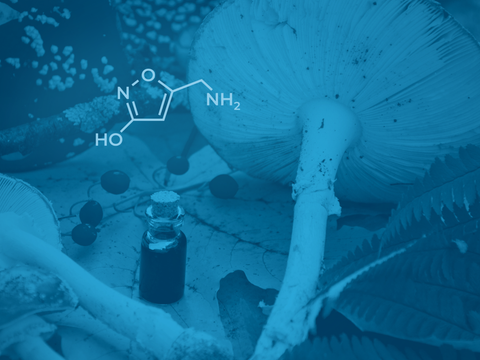 Learning & education – Troscriptions