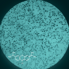 Methylene Blue for Detoxification: Methemoglobinemia, Mitochondrial To – Troscriptions®