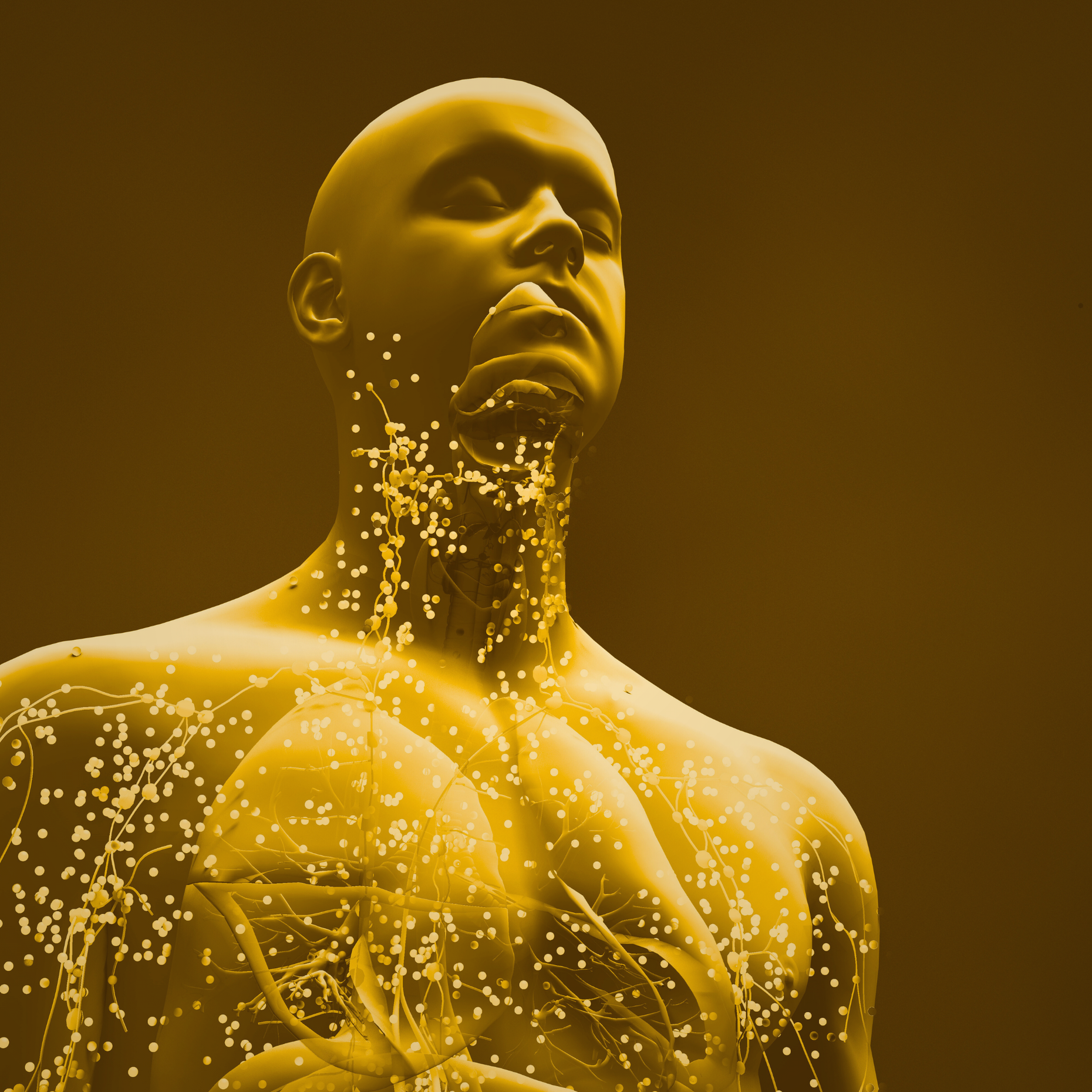 GABAergic Signaling in the Immune System – Troscriptions®