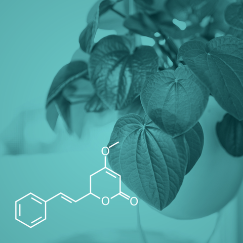 What is Kavain? Exploring the Anxiolytic Kava Extract – Troscriptions®