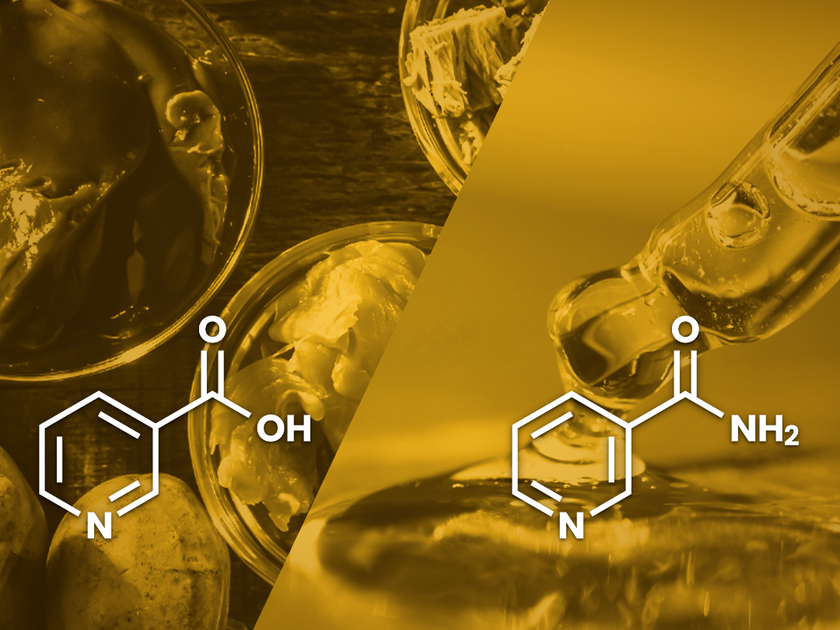 Methylene Blue for Human Skin: Anti-Aging, Regeneration, and More ...