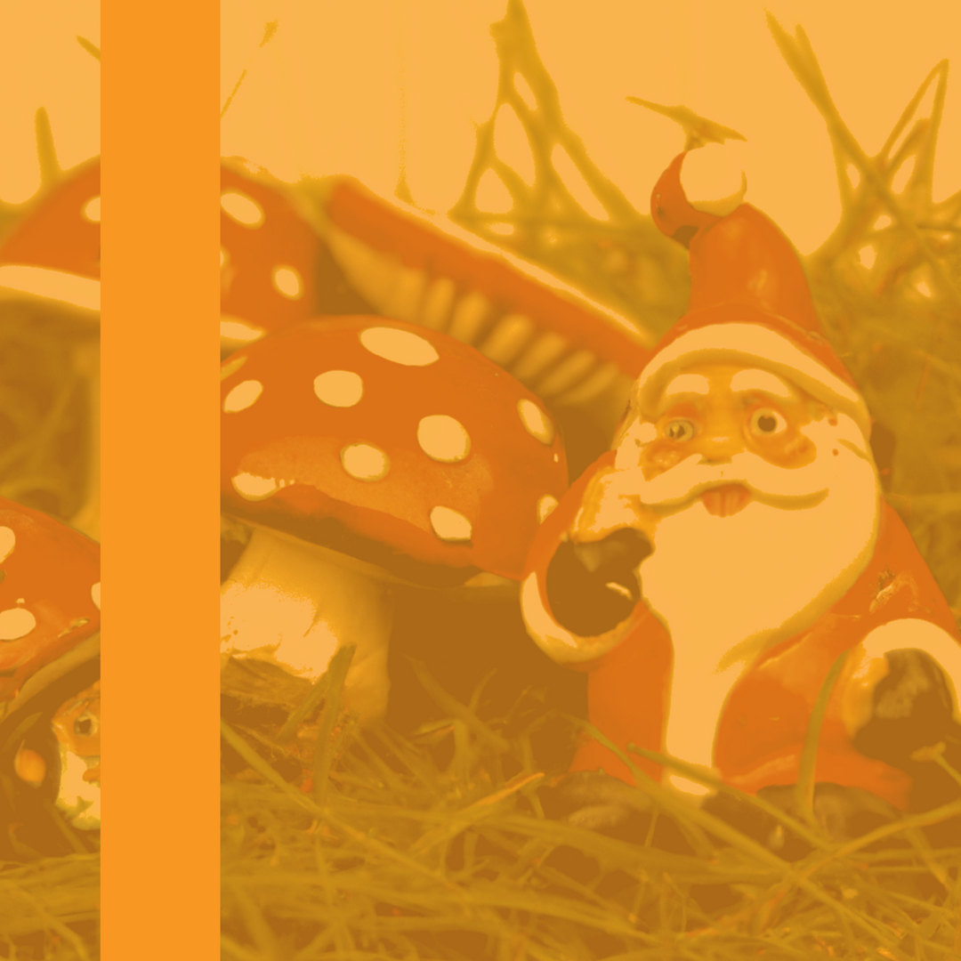 The Merry History Behind Agarin – Troscriptions®