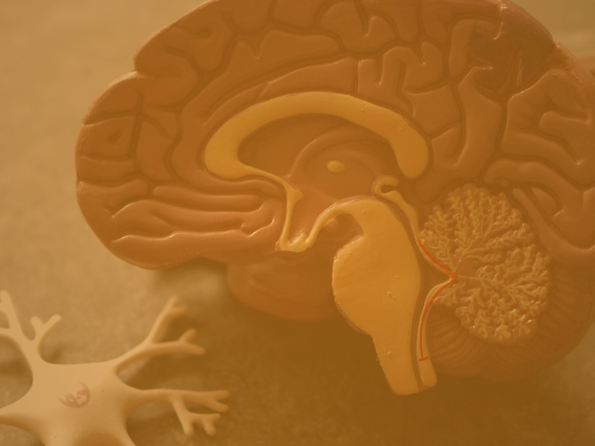 Methylene Blue for Human Skin: Anti-Aging, Regeneration, and More ...