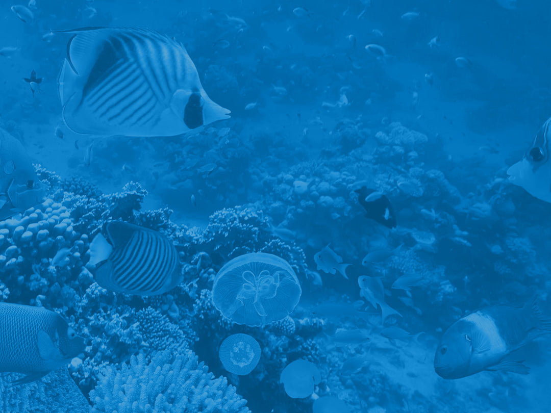 Methylene Blue – Troscriptions®